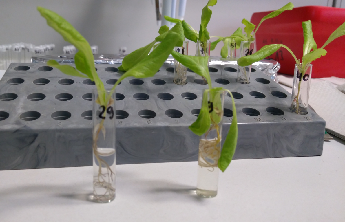 Ep.6 Transcript – Plastisphere